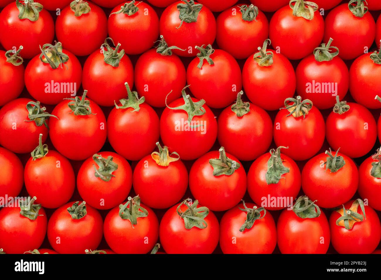 Background image of lying rows of red ripe cherry tomatoes. Top view ...