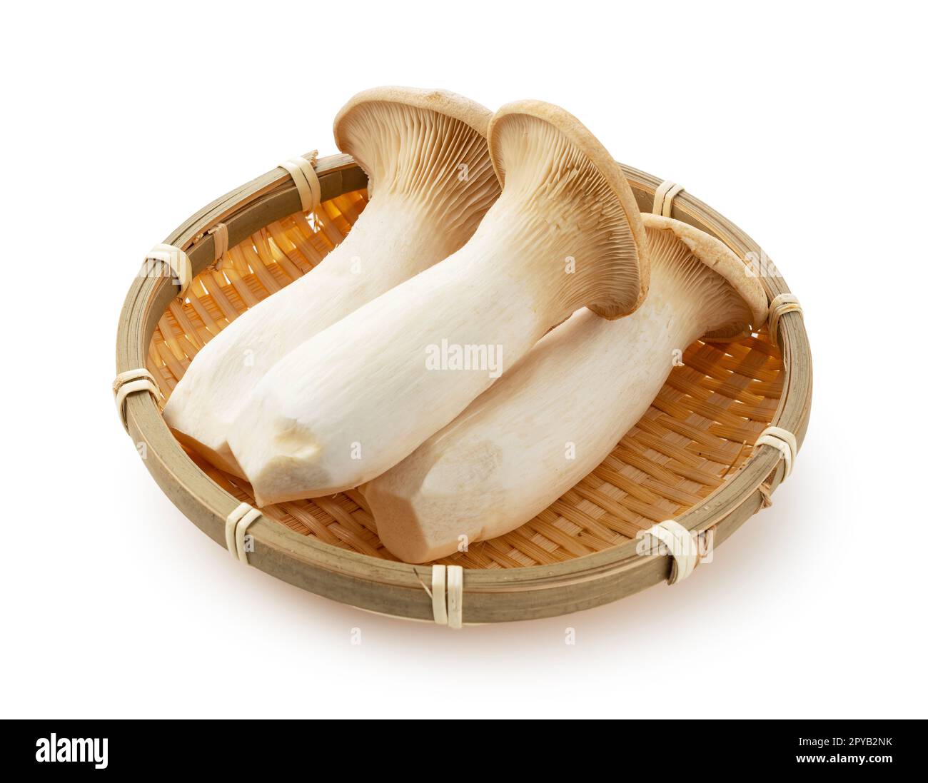 eryngii mushrooms placed on a white background Stock Photo - Alamy