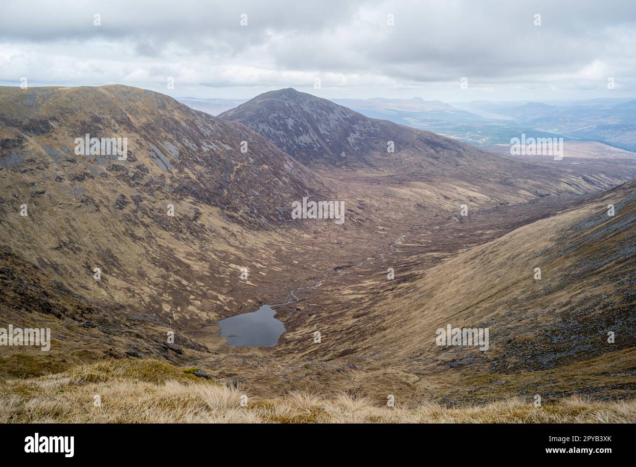 Corie glas hi-res stock photography and images - Alamy