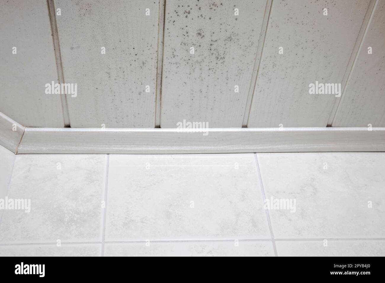 Start of mold build-up on bathroom ceiling, still with simple cleaning ...