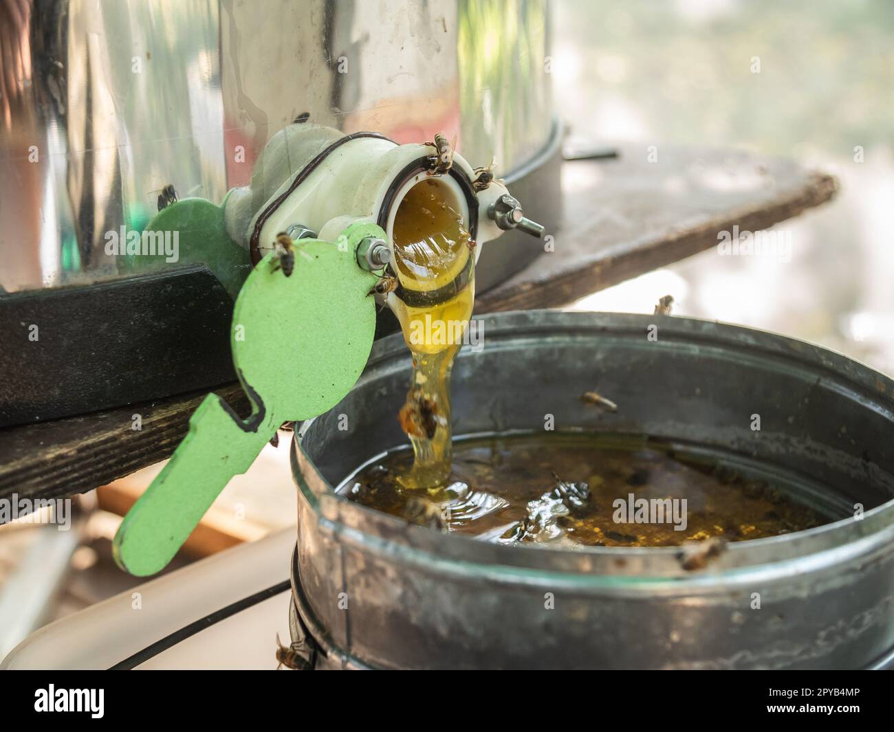 honey production and bees keeping - Beekeeping concept Stock Photo - Alamy