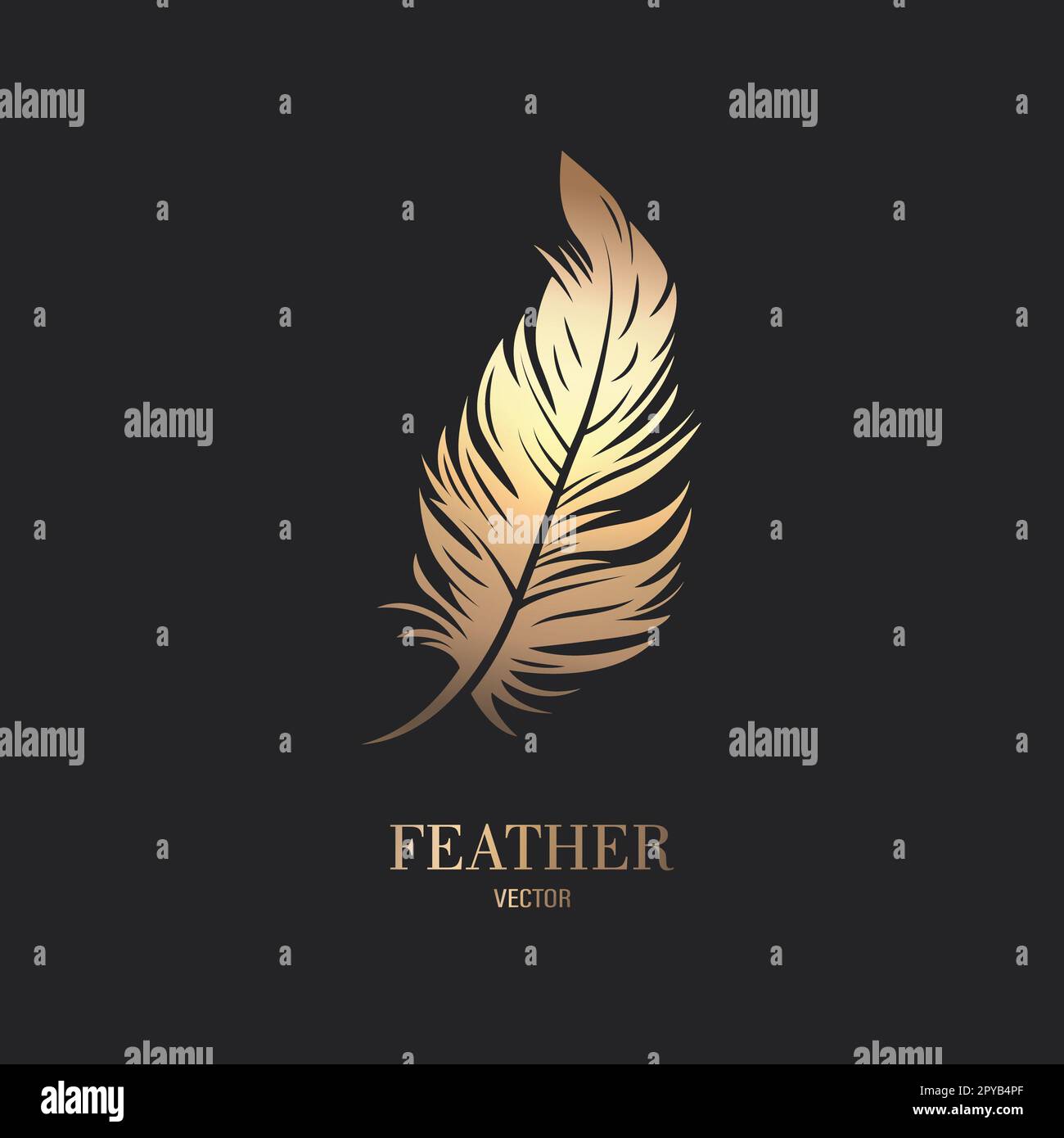 Vector Fluffy Golden Color Feather Logo Icon, Silhouette Feather ...