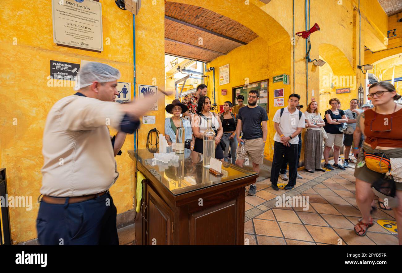 Tequila and la rojeña® distillery hi-res stock photography and images ...