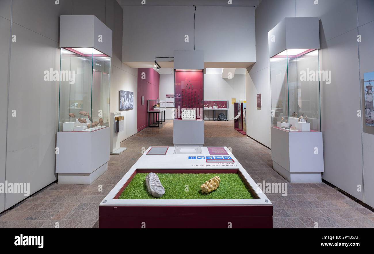 Mexico, APR 25 2023 - Interior view of the exhibition of Regional ...