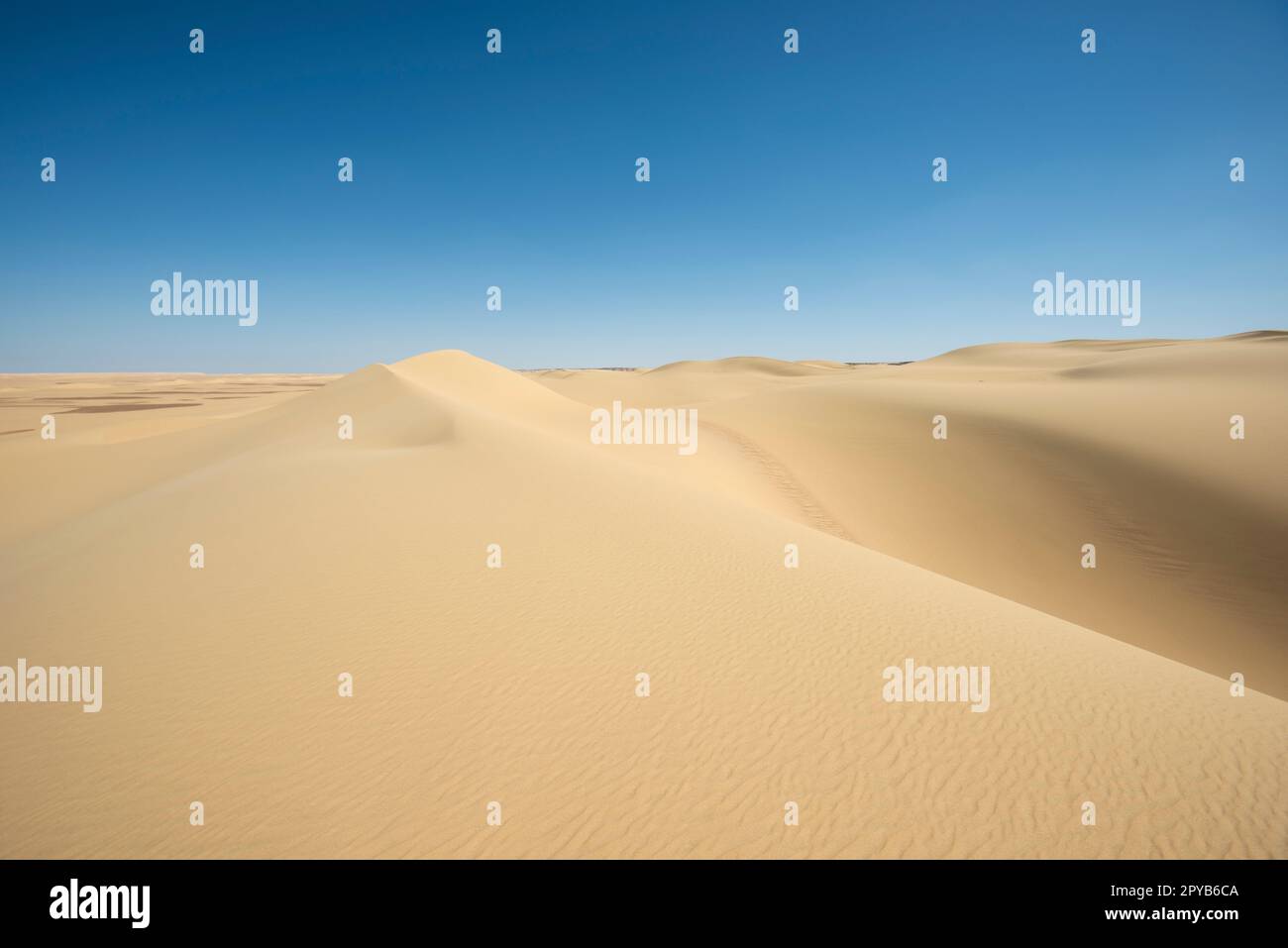 Landscape scenic view of desolate barren western desert in Egypt with ...