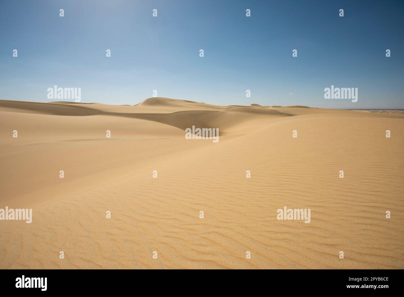 Landscape scenic view of desolate barren western desert in Egypt with ...