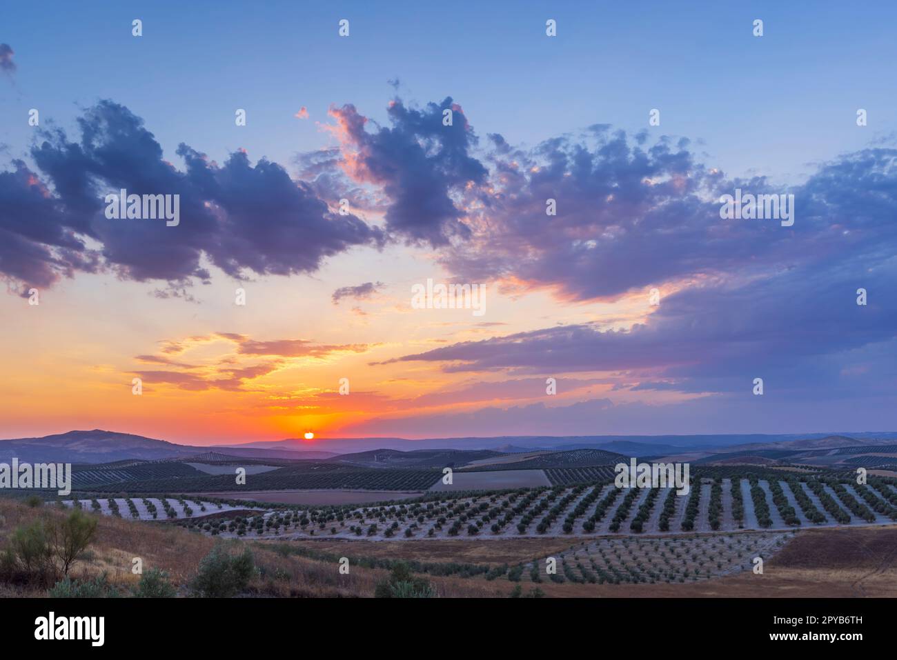 typical Andalusian landscape during sunset, Spain Stock Photo - Alamy