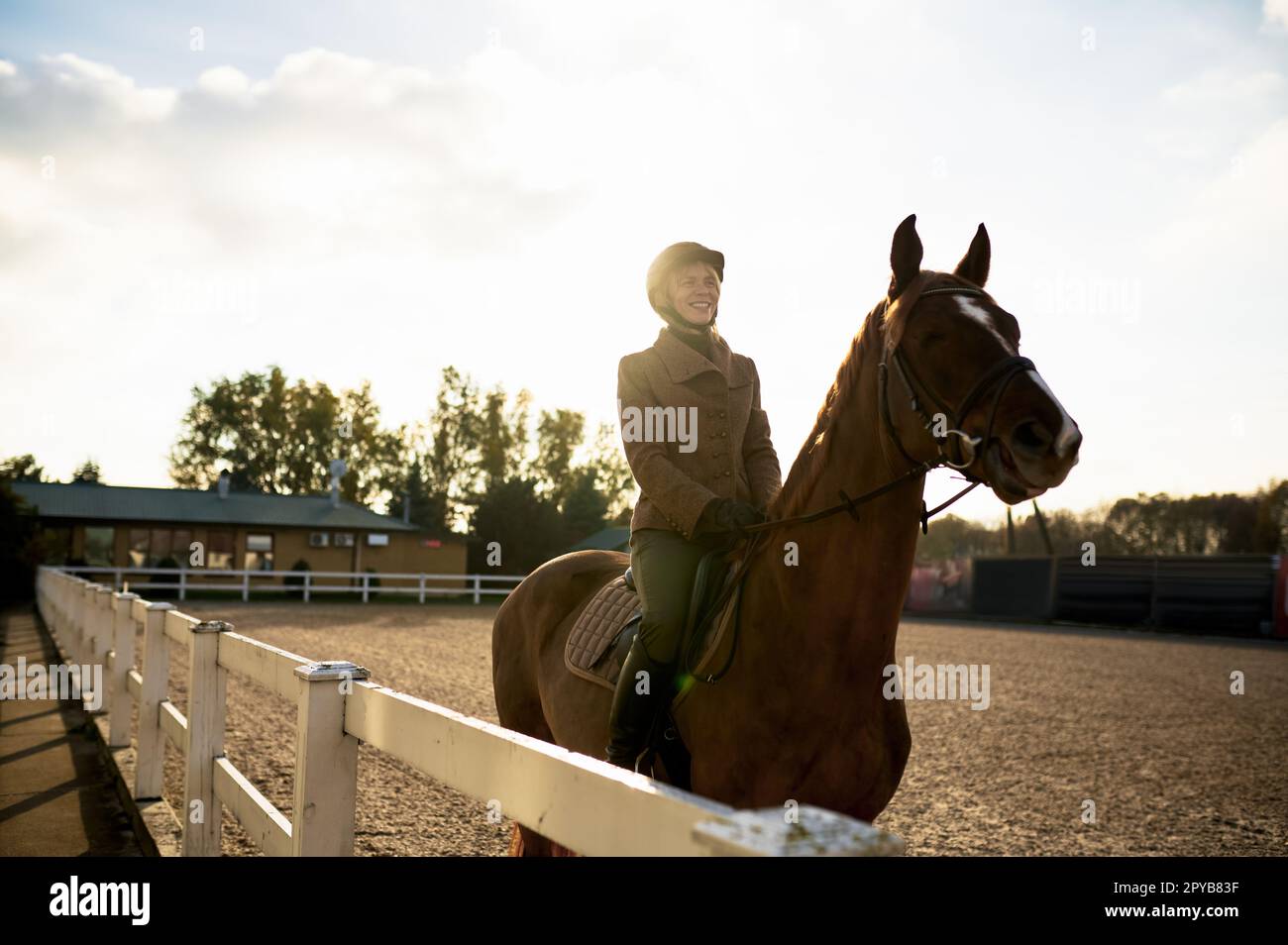 Attractive smiling female horse rider training in outdoor paddock Stock ...