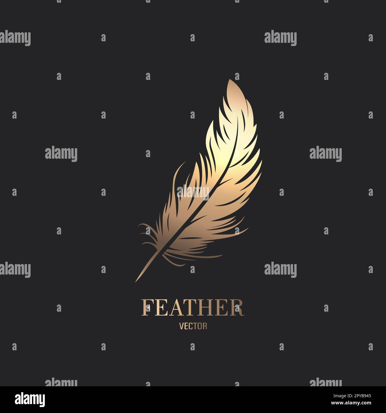 Vector Fluffy Golden Color Feather Logo Icon, Silhouette Feather ...