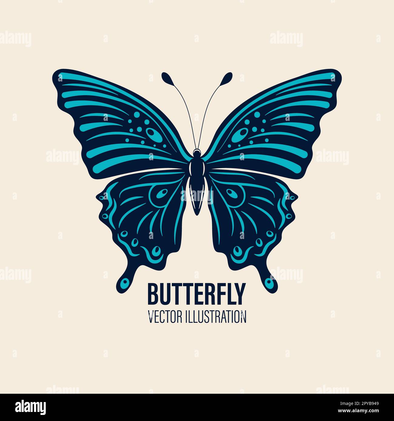Vector Hand Drawn Butterfly Icon Closeup Isolated on White Background ...