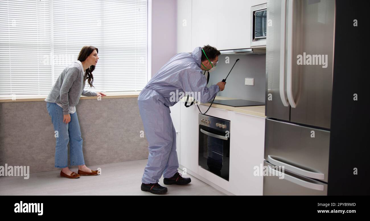 Exterminator Worker Spraying Insecticide Chemical Stock Photo - Alamy