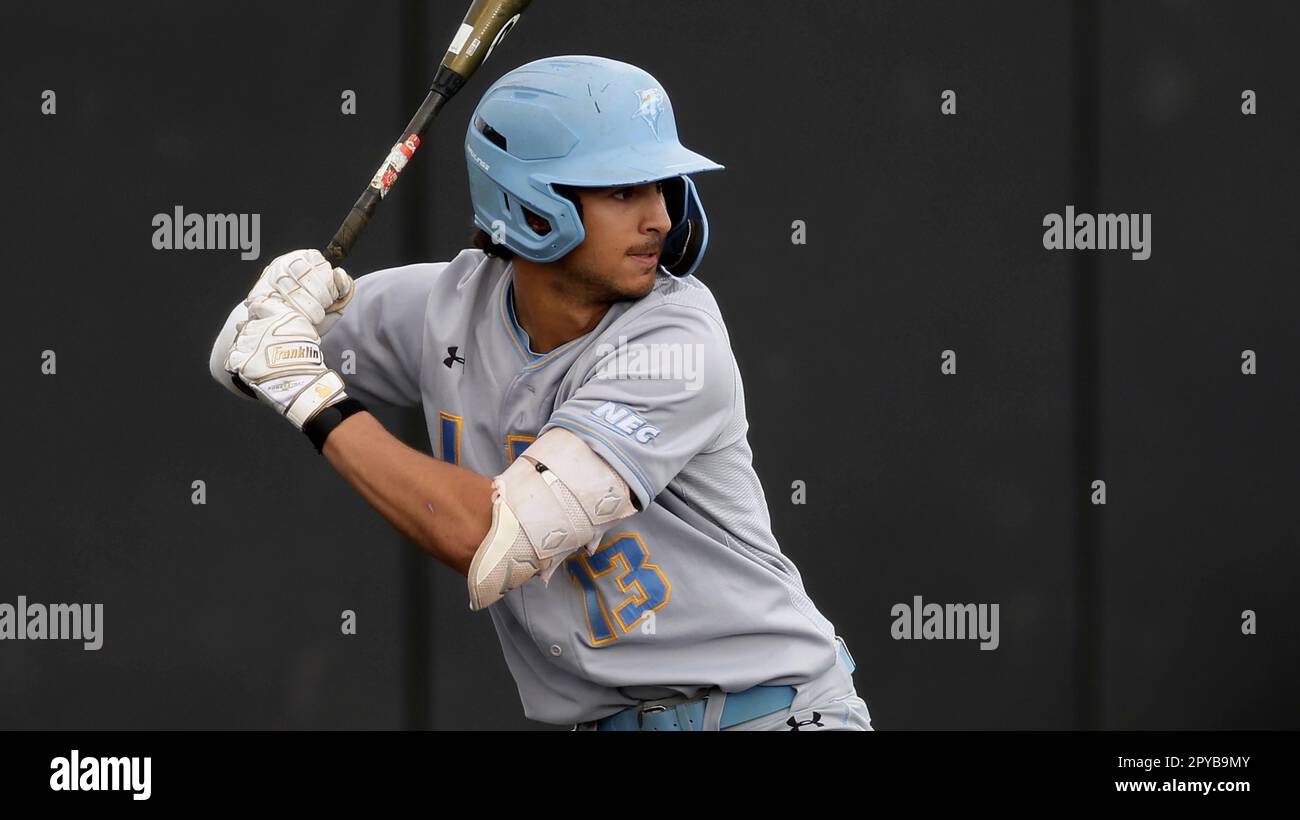 LIU's Jarod Wade at bat against Army during an NCAA baseball game on ...