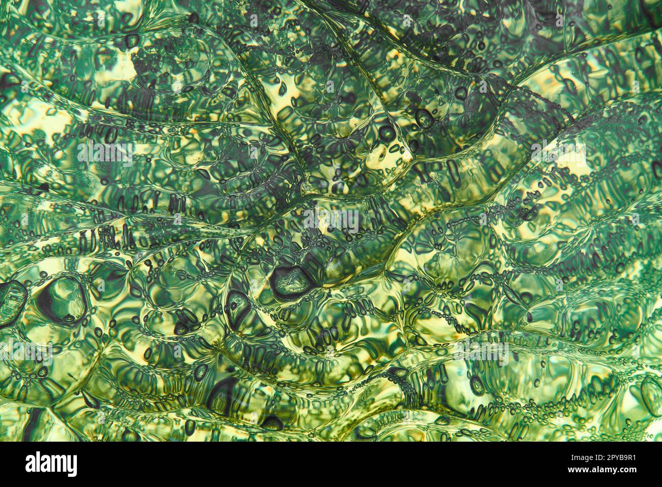 Screw injection moulding machine hi-res stock photography and images ...