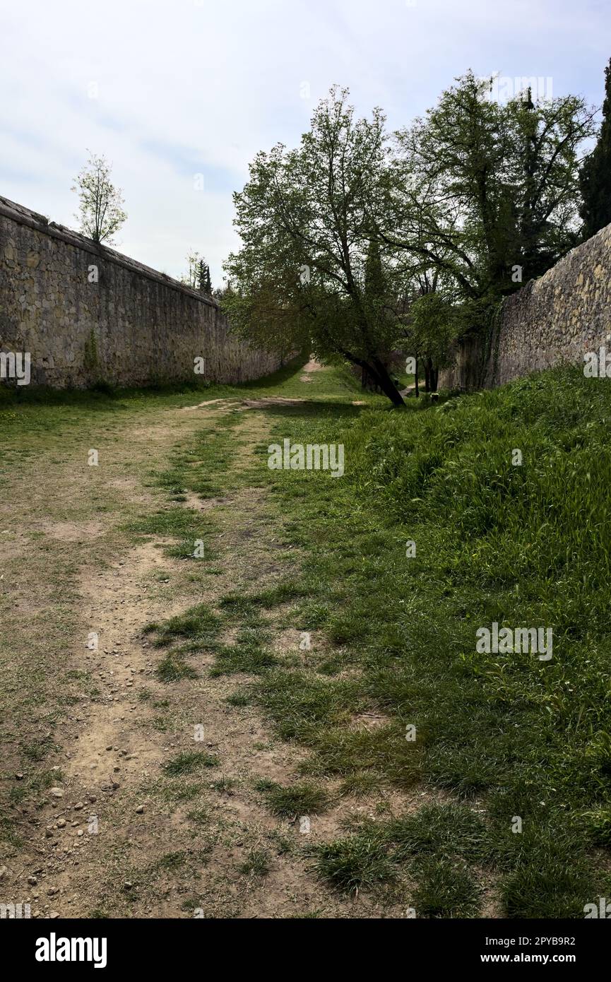 Tree in a dirt path between boundary walls in a park by the hillside ...