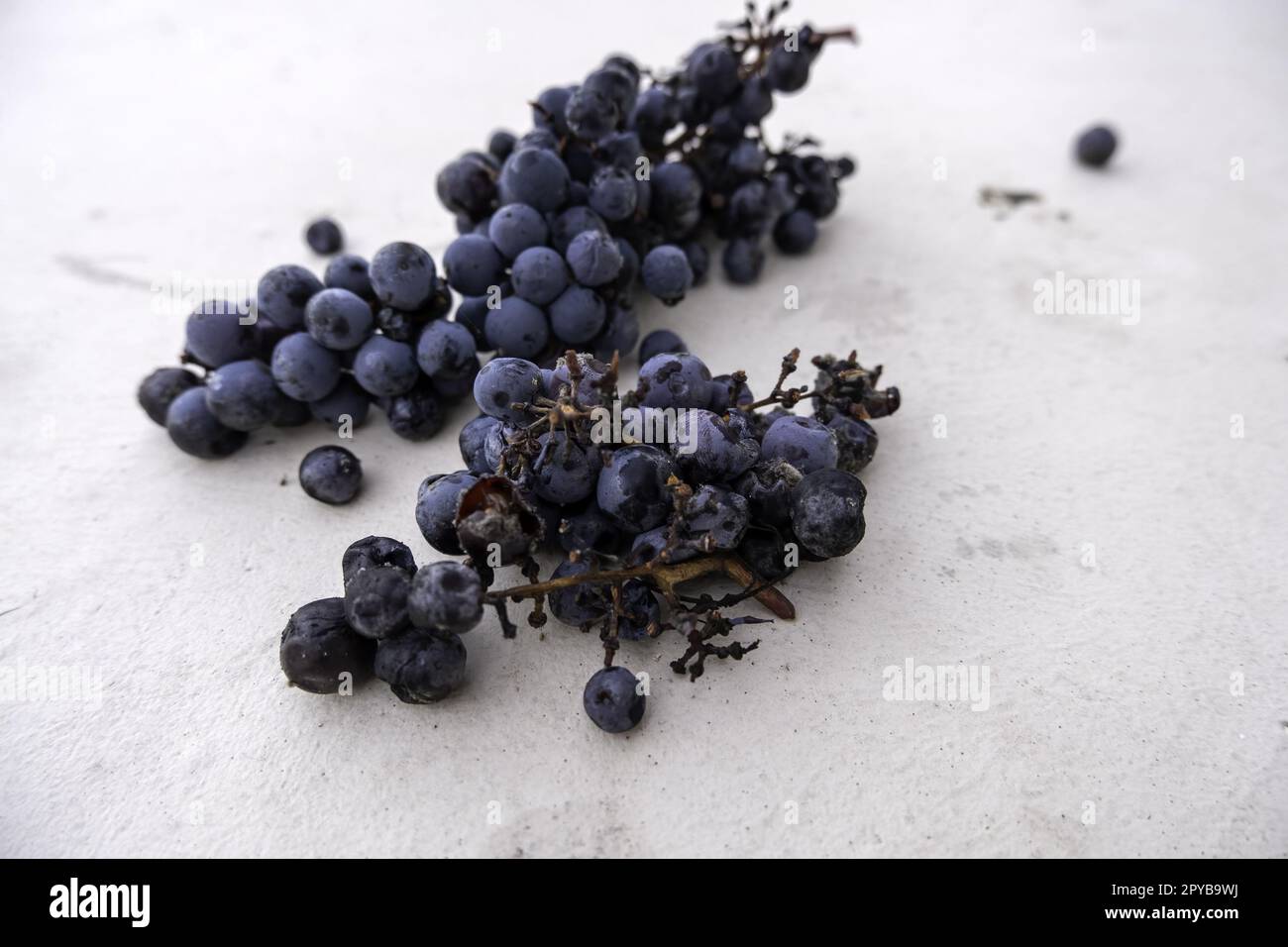 Dried grapes on a table Stock Photo - Alamy