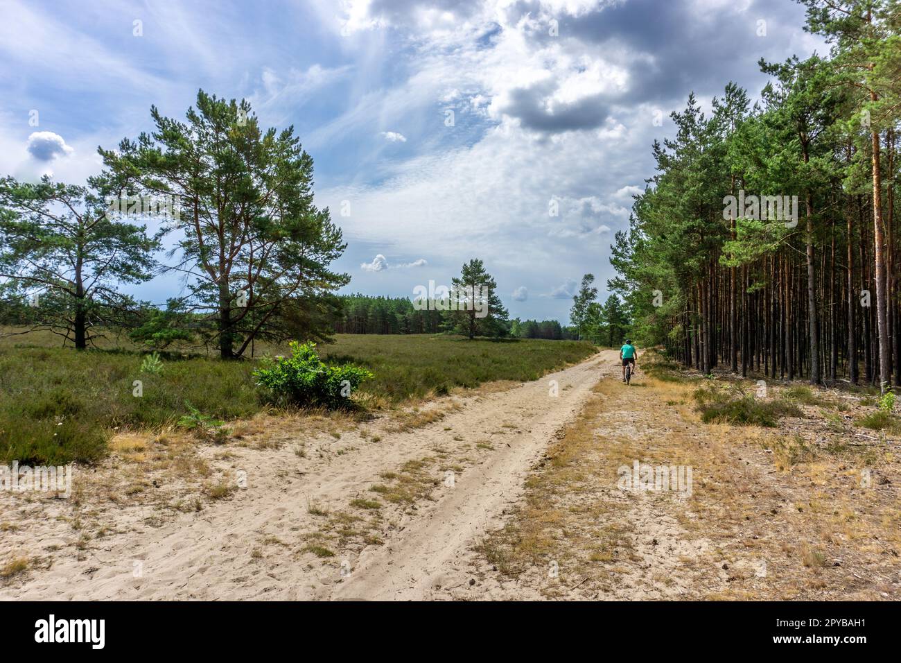 National protected area Nemitzer Heide in Germany with open landscape ...