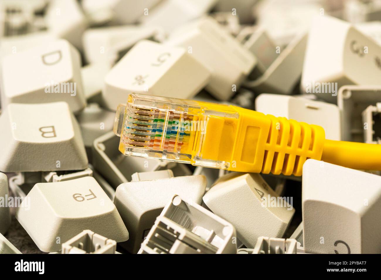 Internet cable RJ45 and keyboard keys close-up view Stock Photo - Alamy