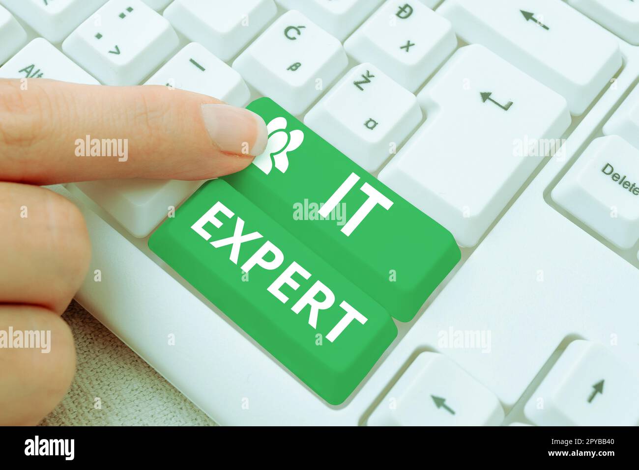 Text showing inspiration It Expert. Word for person with a high level ...