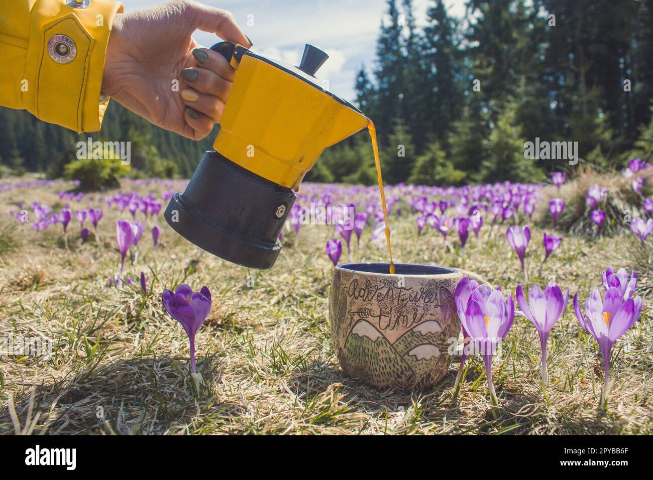 Close up pouring coffee into mug from camping kettle concept photo ...