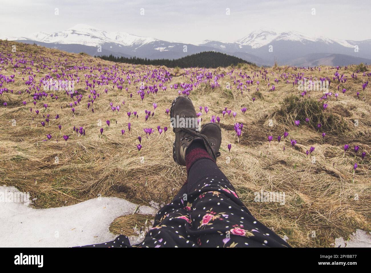 Beautiful legs crossed hi-res stock photography and images - Alamy