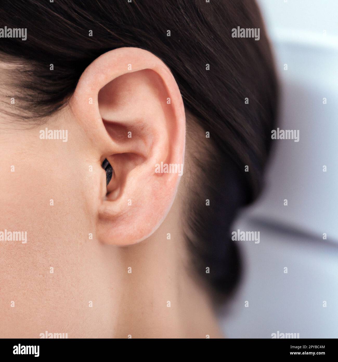 Ear and part of the cheek on the head of a brunette woman close-up ...