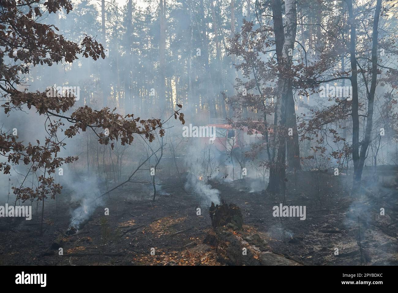 Fire flames evening fireman hi-res stock photography and images - Alamy