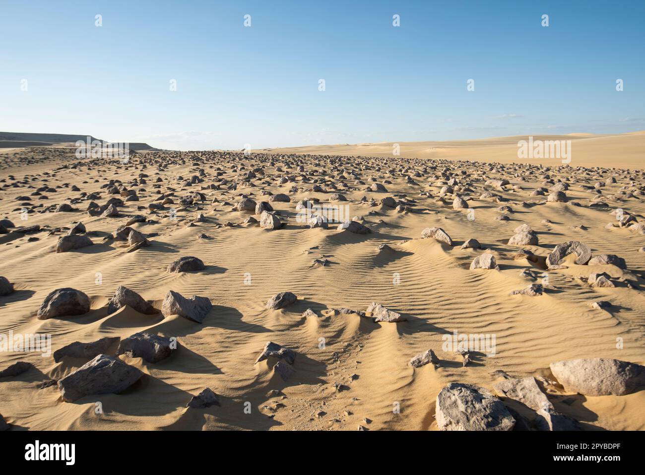 Landscape scenic view of desolate barren western desert in Egypt with ...