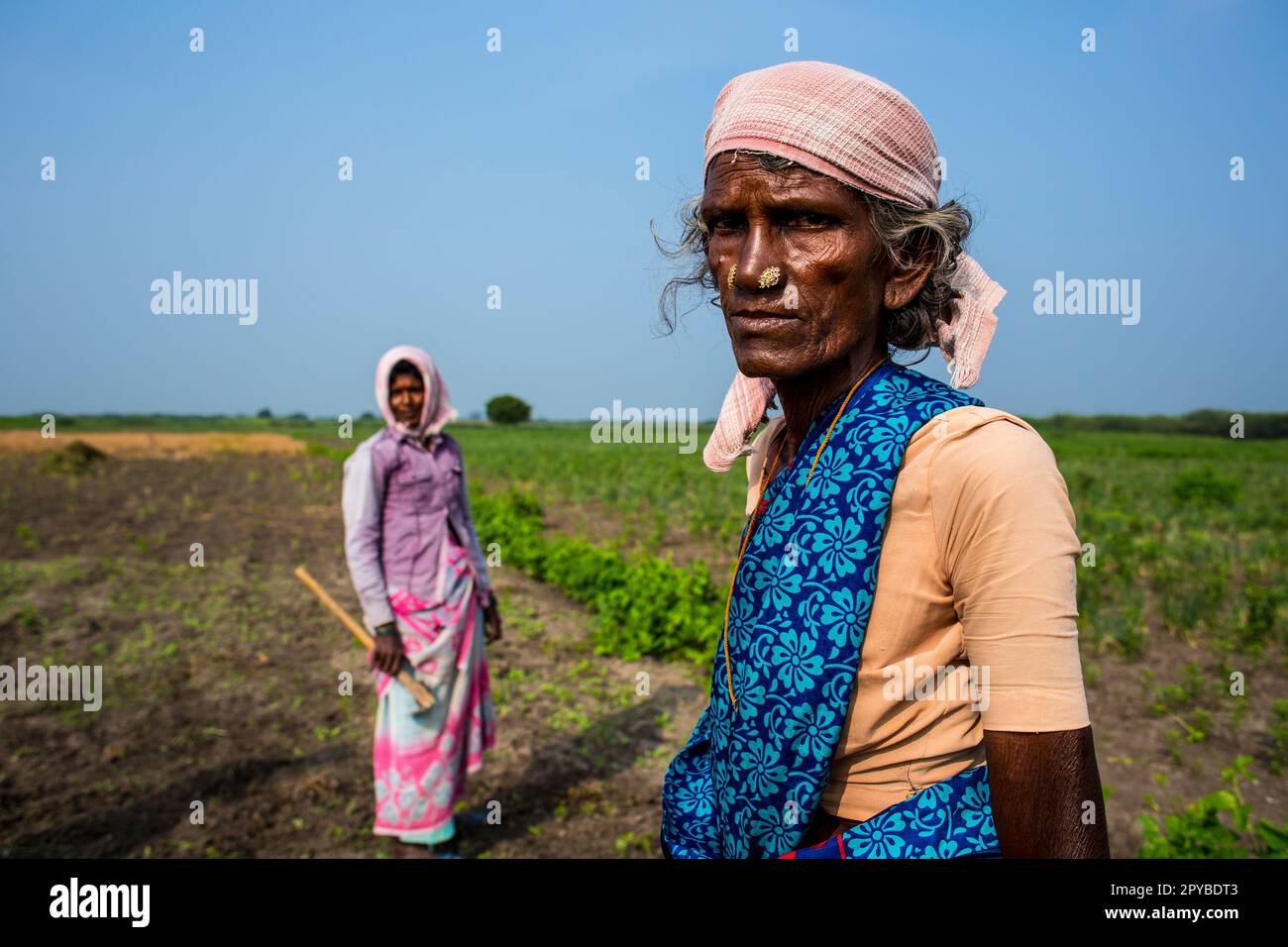 Girls at work in the field in India Stock Photo - Alamy