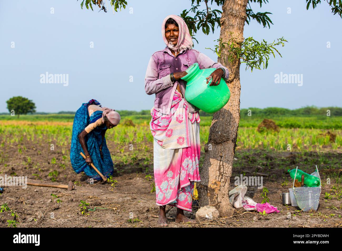 Girls at work in the field in India Stock Photo - Alamy