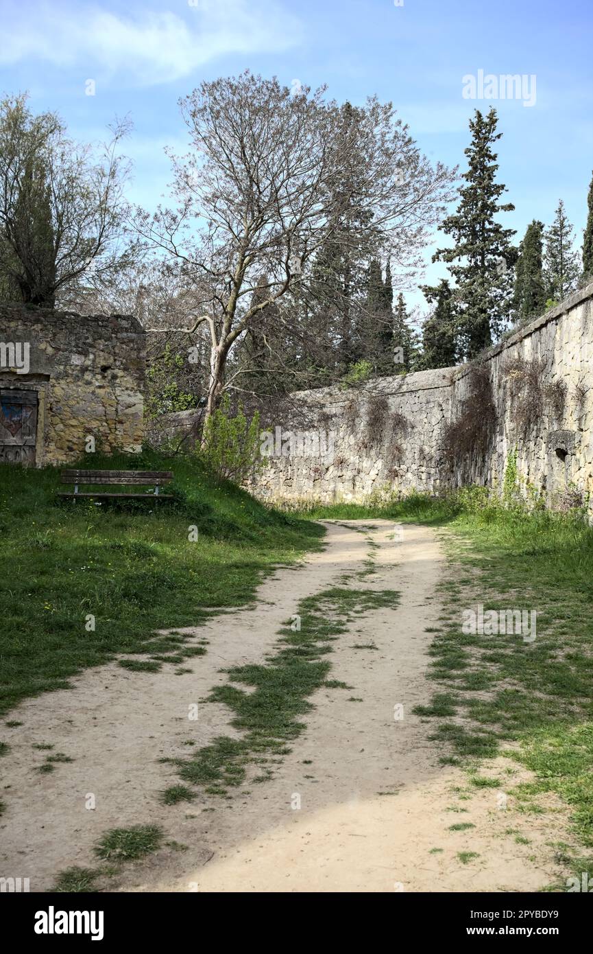 Tree arching on the bend of a dirt path bordered by a boundary wall in ...