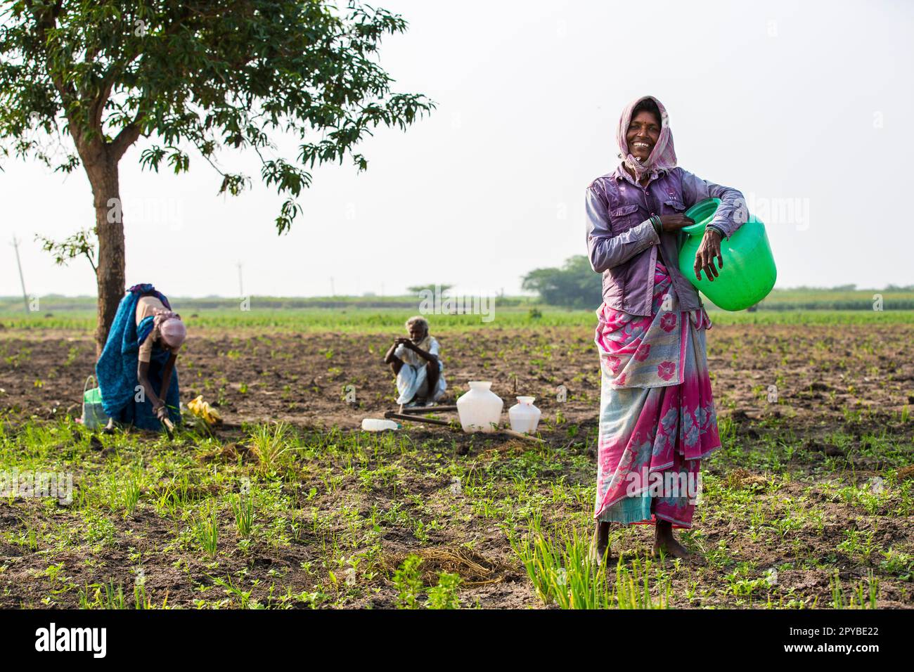 Girls at work in the field in India Stock Photo - Alamy