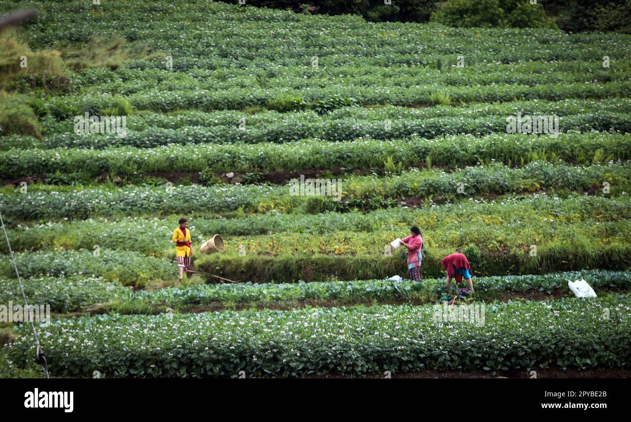 Kavrepalanchok hi-res stock photography and images - Alamy
