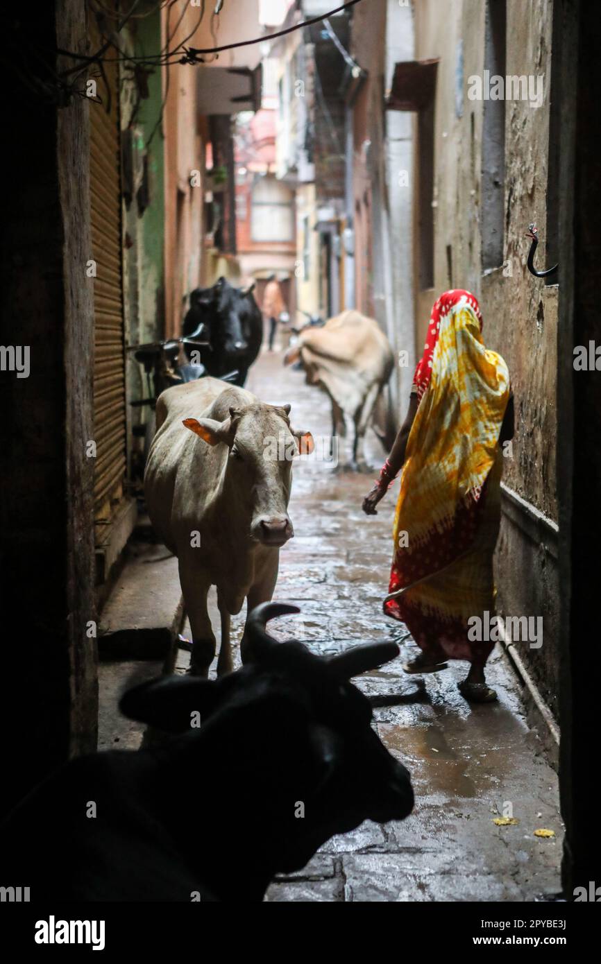 Girls in the Varanasi Street Stock Photo - Alamy