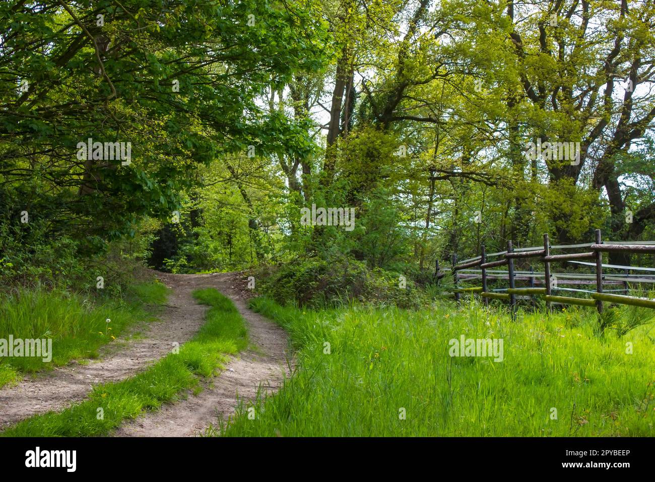 German countryside landscape, Lower Rhine Region, Germany Stock Photo ...