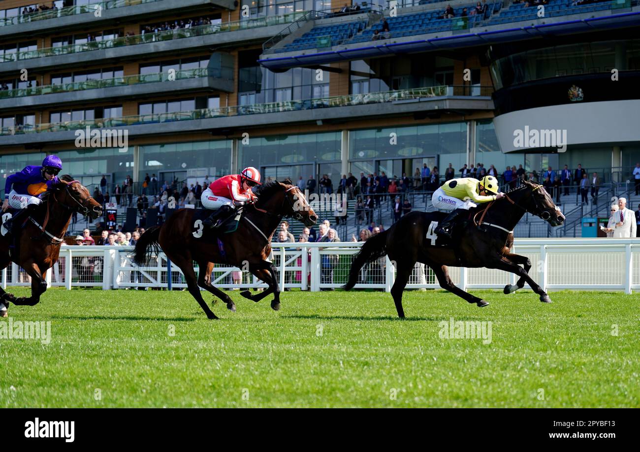 Cold case racecourse hi-res stock photography and images - Alamy
