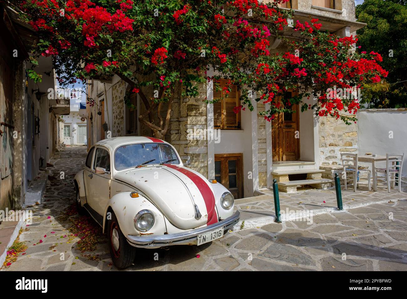 Car flowers beetle hi-res stock photography and images - Alamy