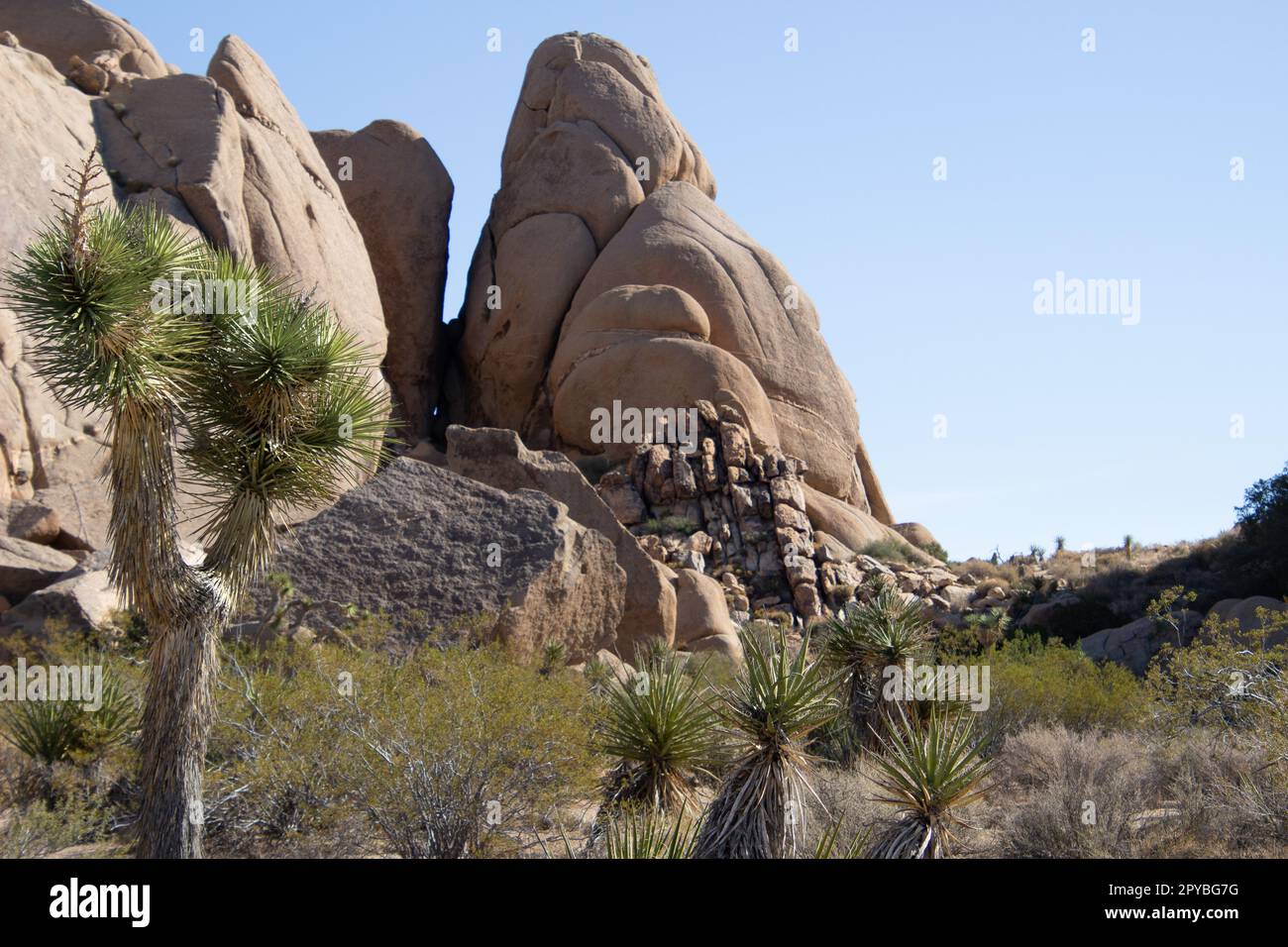 Joshua Tree NP, California, USA - December 1, 2021: Rock formations ...