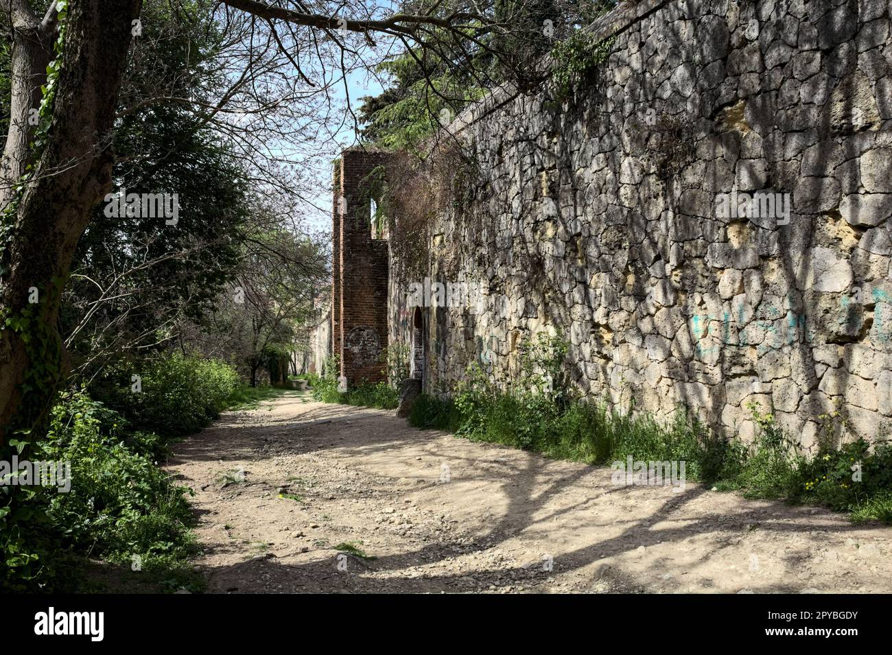Tree arching on the bend of a dirt path bordered by a boundary wall in ...