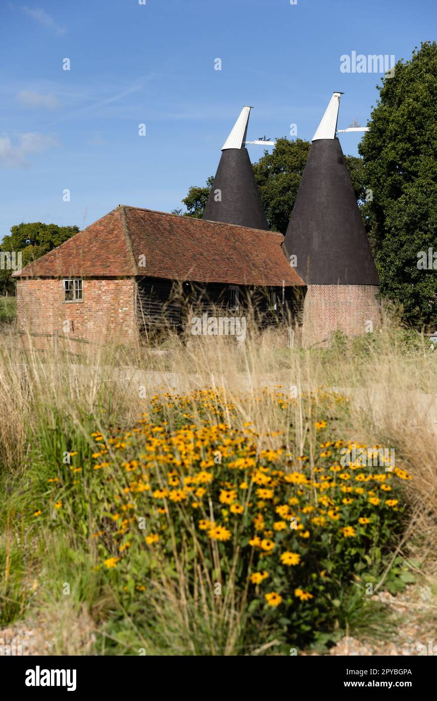 Tillingham winery on the 6th October 2022 in Rye in East Sussex ...