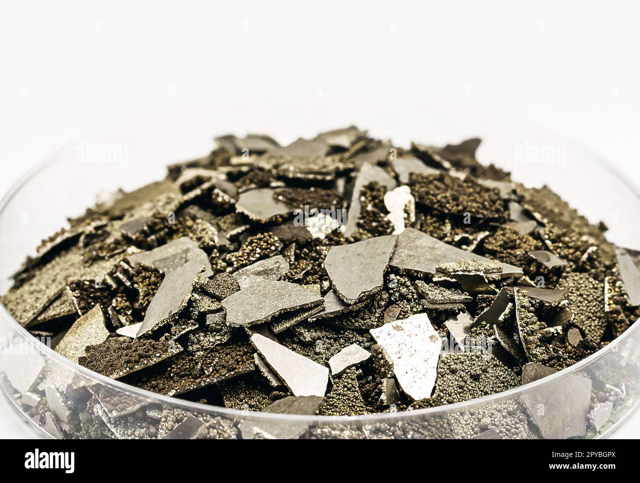 Manganese samples in petri dish, pure manganese metal flakes used in ...