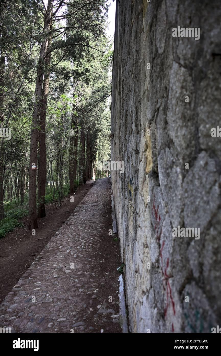 Trail bordered by a stone boundary wall in a forest Stock Photo - Alamy