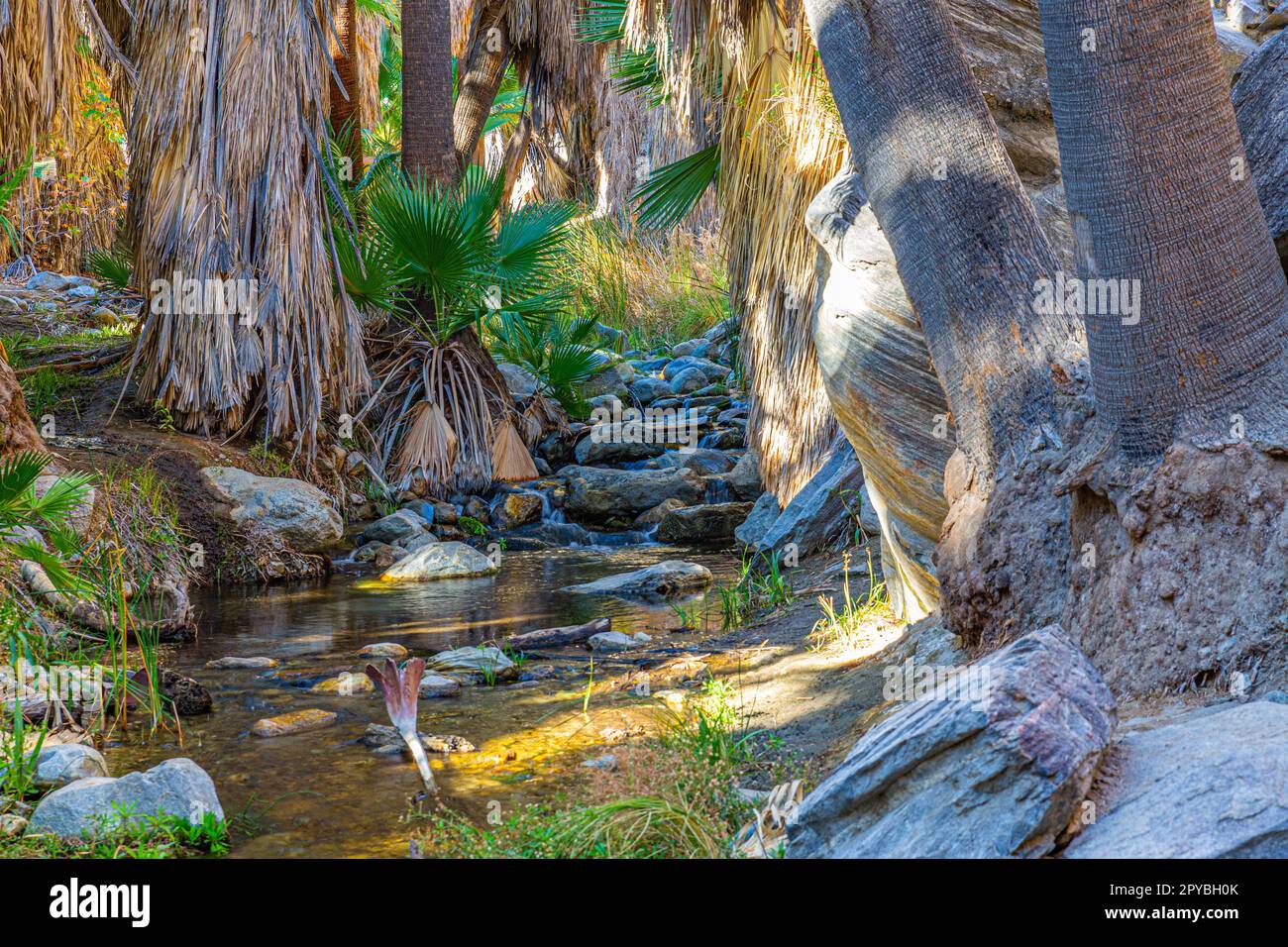 Tahquitz Canyon - Palm Springs, CA, USA: December 11, 2021: Rockscapes ...