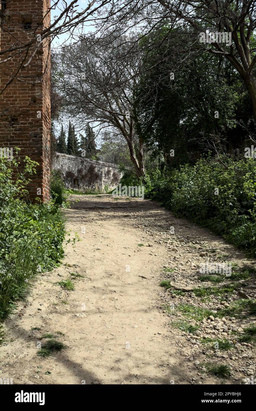 Tree arching on the bend of a dirt path bordered by a boundary wall in ...