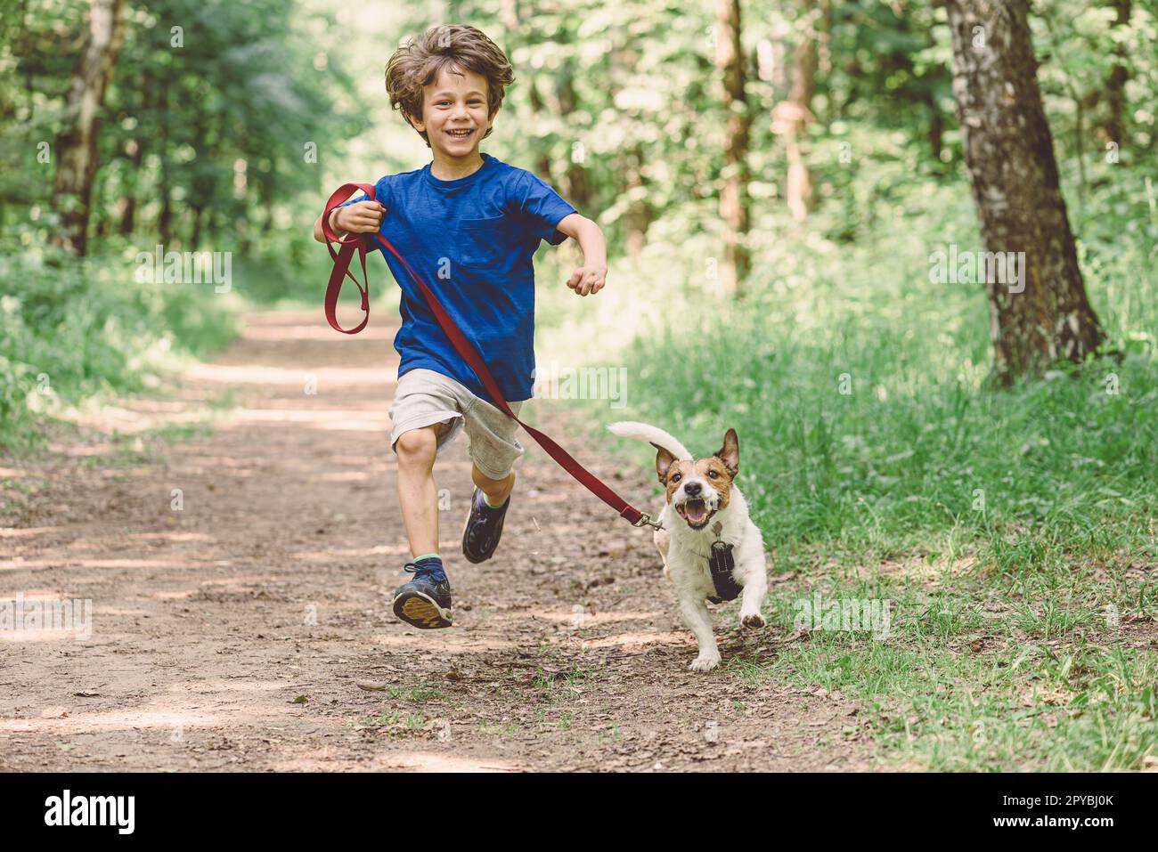 Happy boy running with dog on leash by park alley on summer day Stock ...