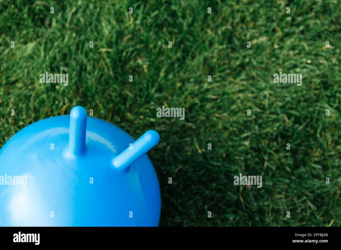 close up of red bouncing ball or hoppers on grass Stock Photo - Alamy