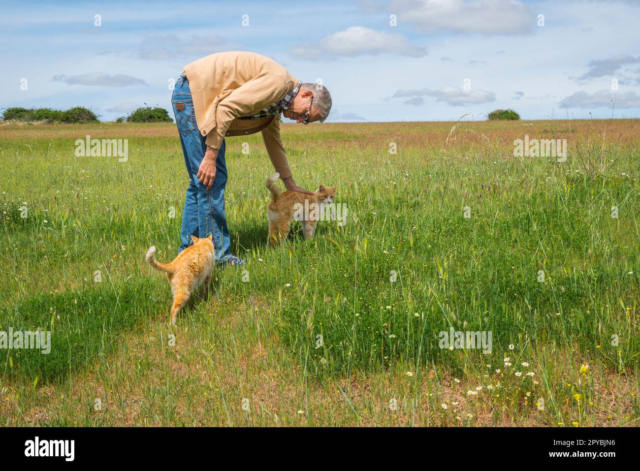 Los dos animales hi-res stock photography and images - Alamy