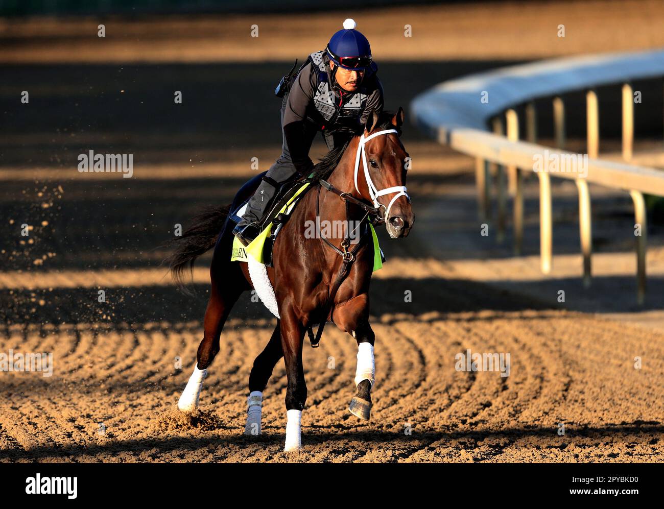 Louisville, United States. 03rd May, 2023. Kentucky Derby hopeful ...