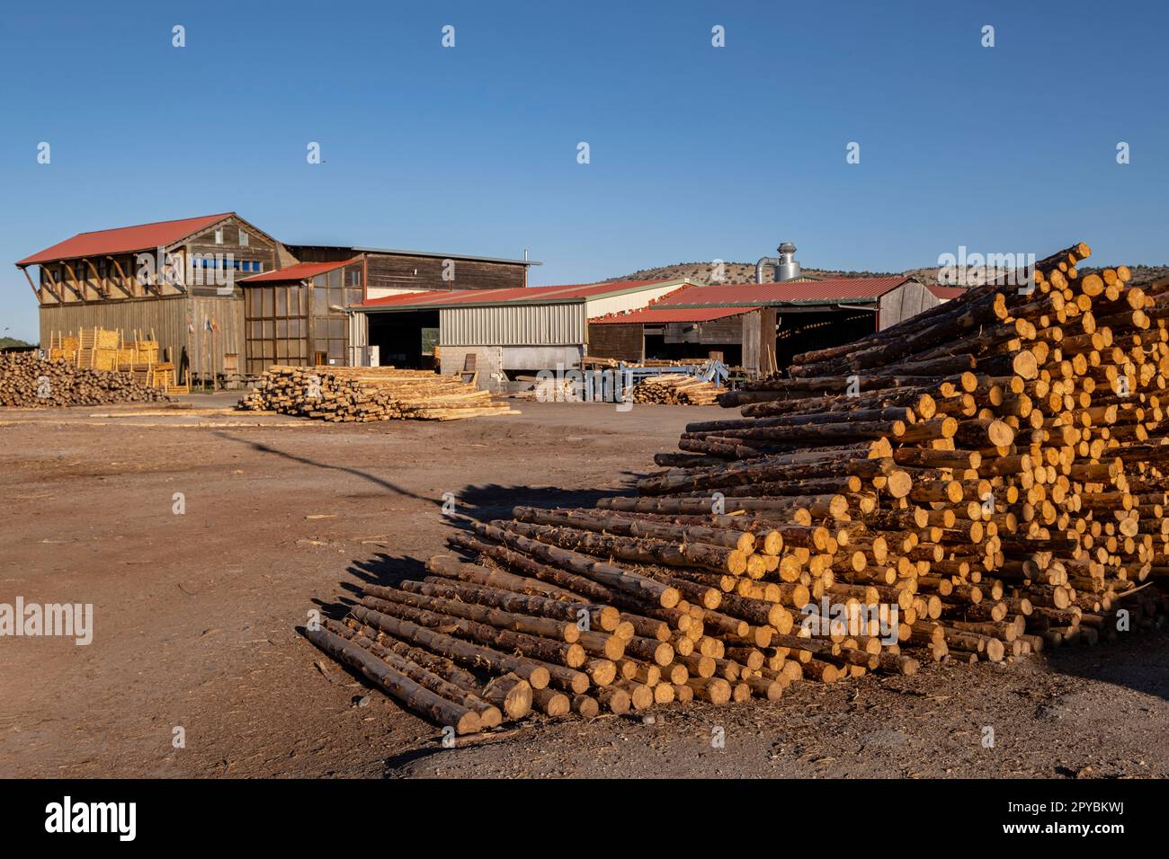 industria de la madera, Cabrejas del Pinar, Soria, Comunidad Autónoma ...