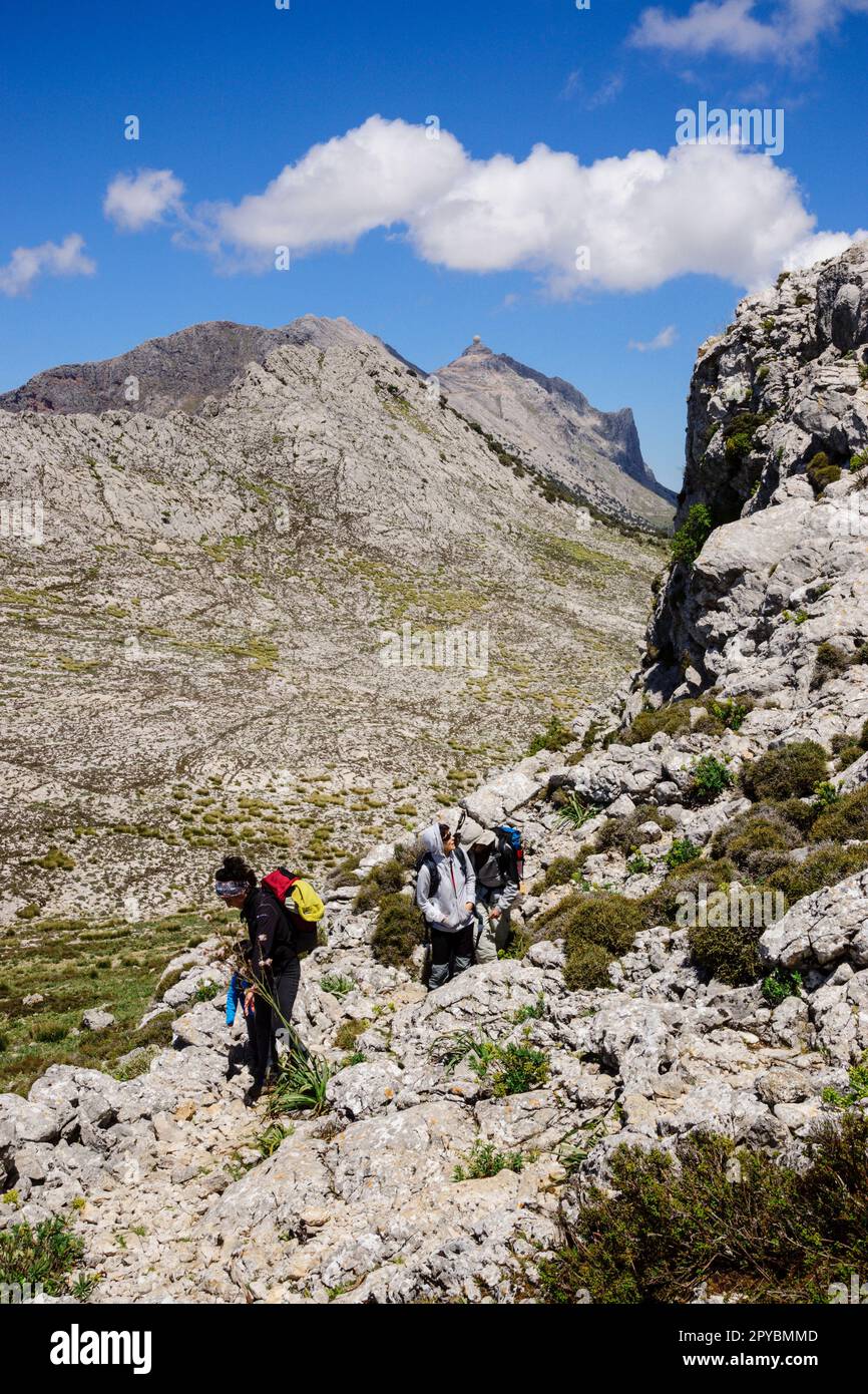 Puig Major, 1436 metros, sierra de Son Torrella, Escorca, sierra de ...