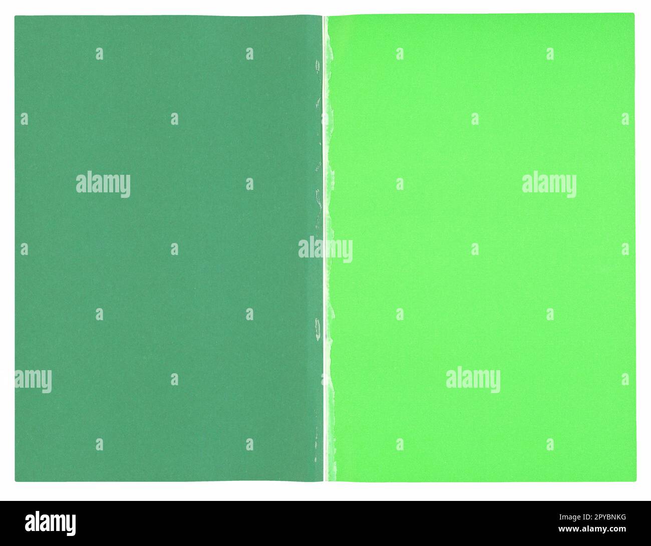 blank green double page paper texture background Stock Photo - Alamy